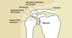 Shoulder Arthritis: Symptoms & Treatment | The Hand Society