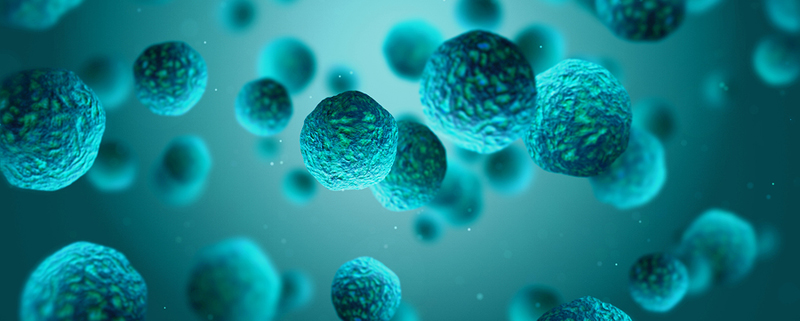 11 Types of Hand Infections | The Hand Society