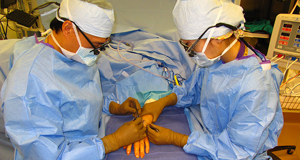 Planning, Expecting, and Preparing for Elective Hand Surgery | The Hand ...